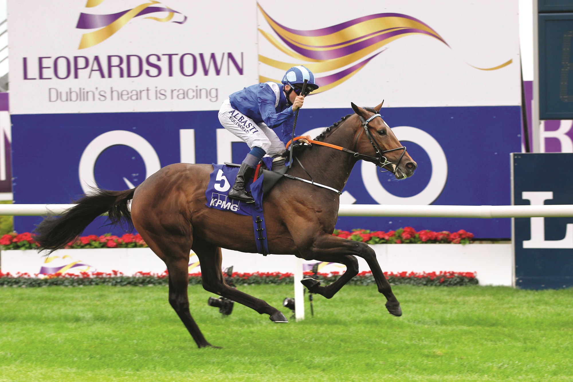 Second entries further strengthen Darley sires’ Derby hand | Europe